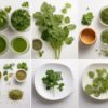 The Evolution of Food: Traditional vs. Modern Cuisine Compared ...
